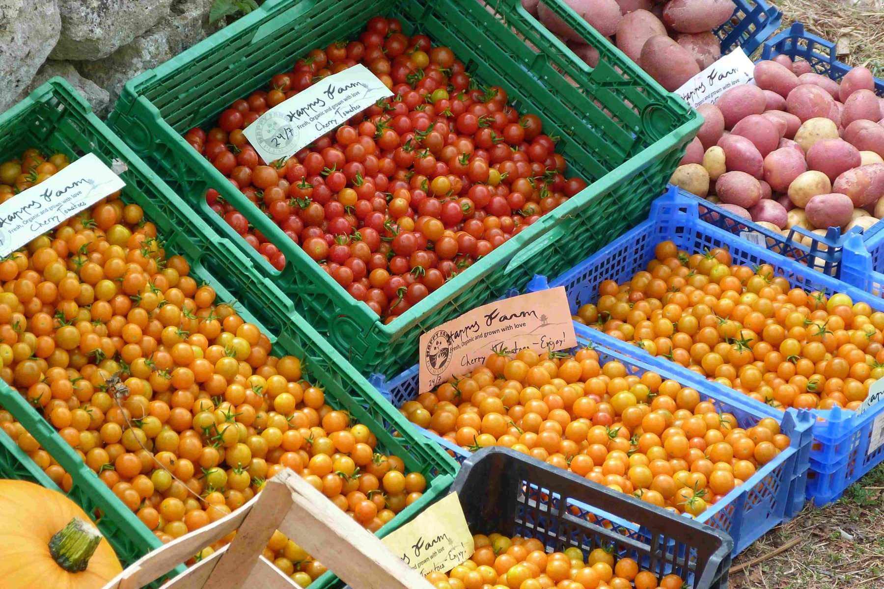 Our Farms | Happy Farms