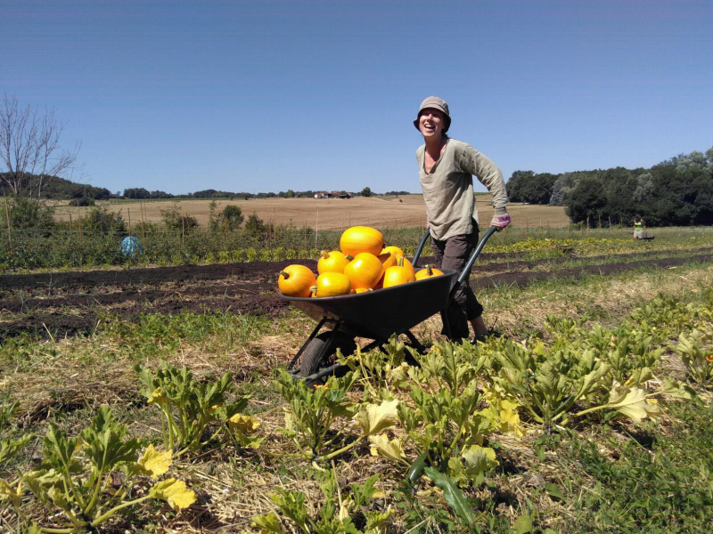 Our Farms | Happy Farms