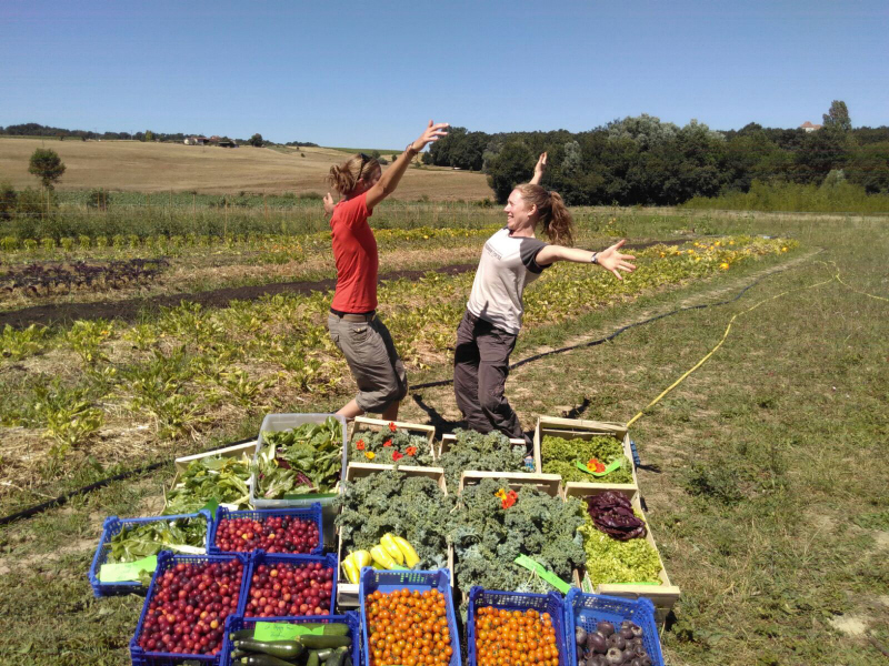 Our Farms | Happy Farms